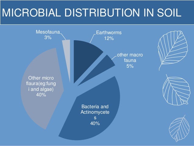 Soil Microbiology