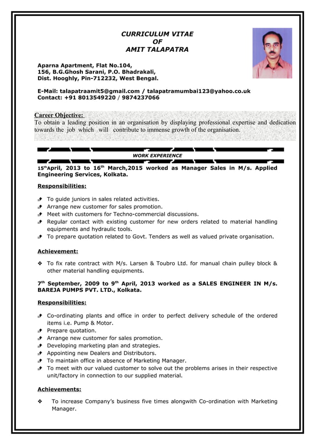 CV_Amit | PDF