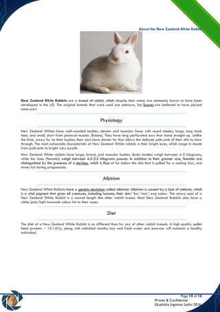 Rabbit_Farming(RF4ShFd)_Info_Sheet | PDF
