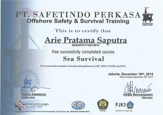 CERTIFICATE BASIC SEA SURVIVAL | PDF