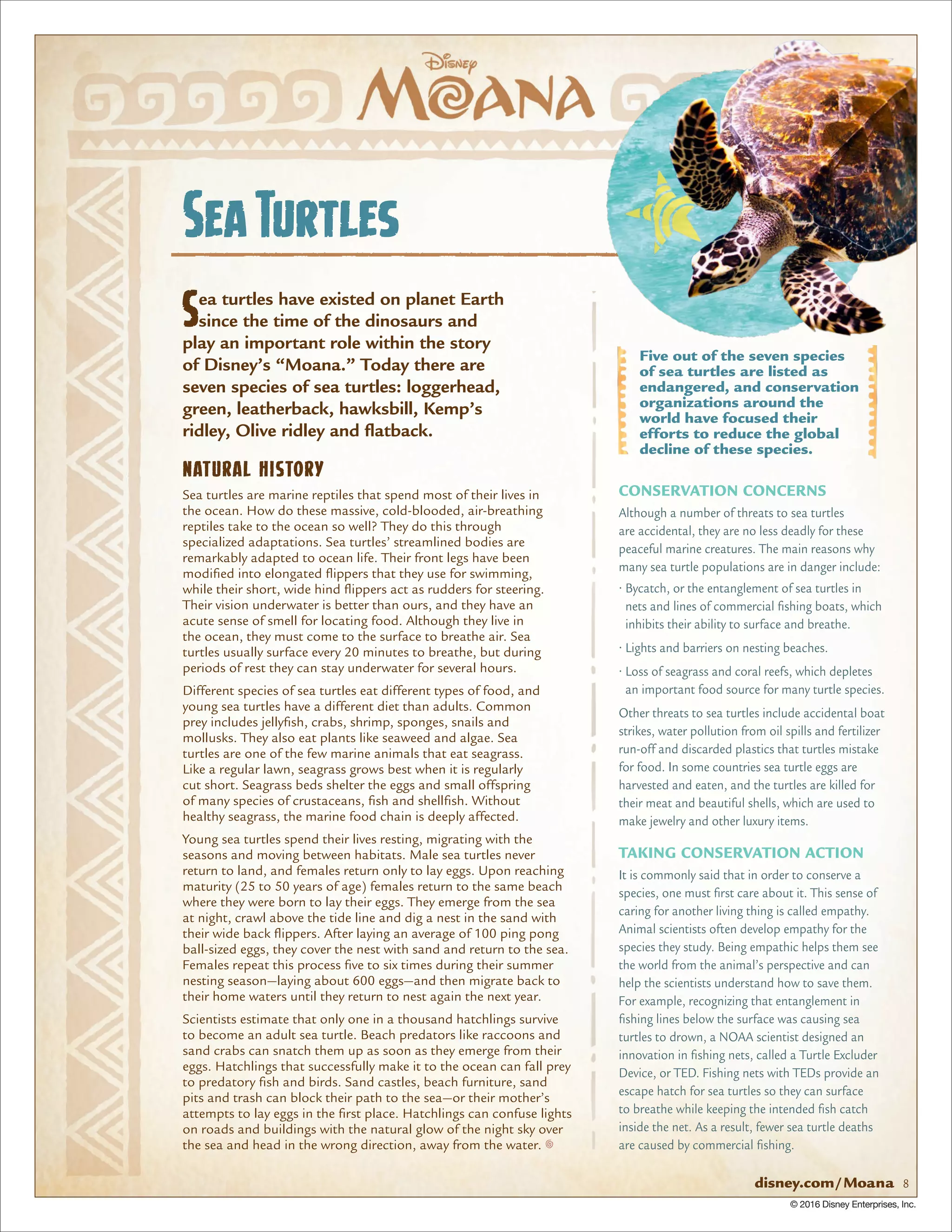 Moana Activity Packet | PDF
