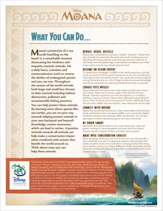 Moana Activity Packet | PDF