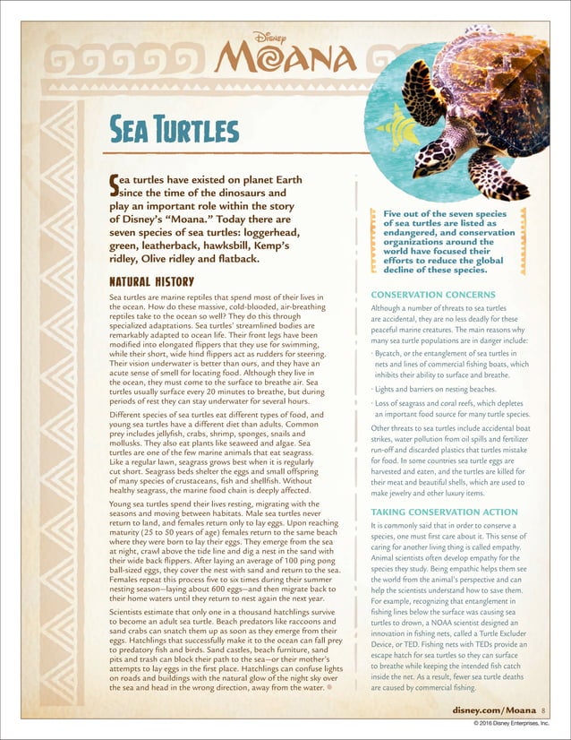 Moana Activity Packet | PDF