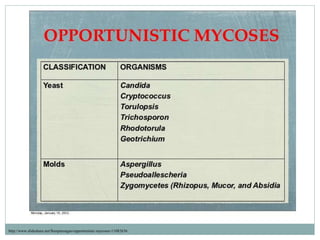 Fungemia in the Setting of Acute Lymphocytic Leukemia (FINAL)-1 | PPT