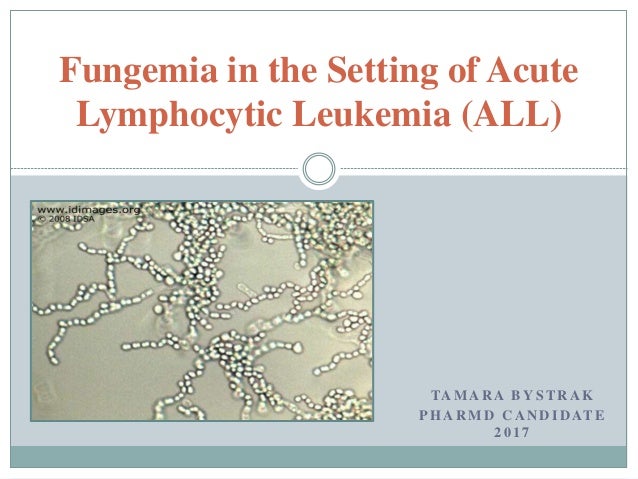 Fungemia in the Setting of Acute Lymphocytic Leukemia (FINAL)-1