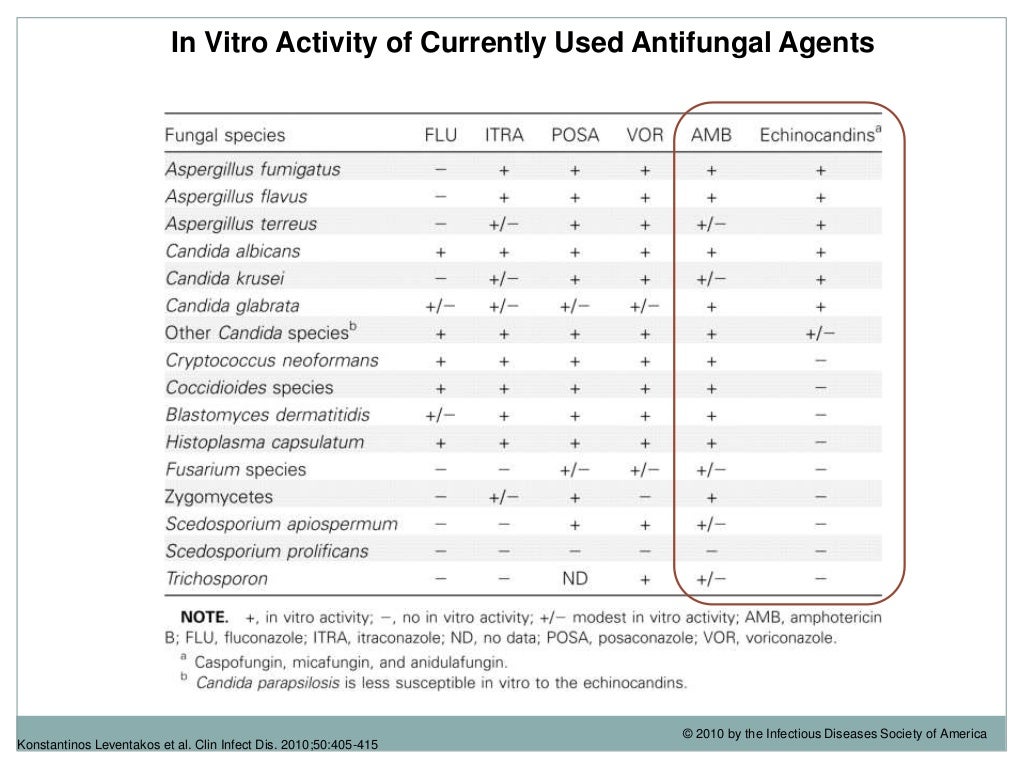 Fungemia in the Setting of Acute Lymphocytic Leukemia (FINAL)-1