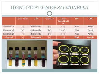 PS CAFO PRESENTATION 4.09 | PPT
