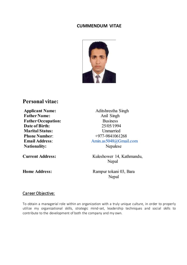 Adit Final Resume | PDF