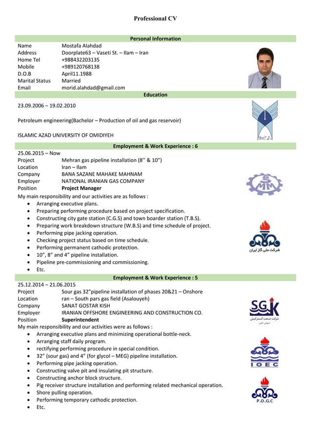 Professional CV | PDF