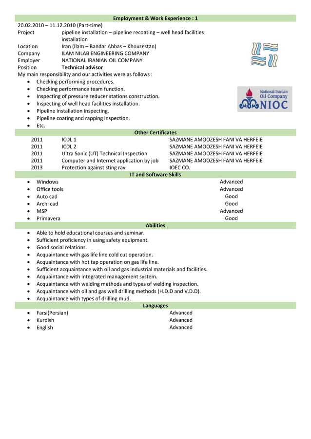 Professional CV | PDF