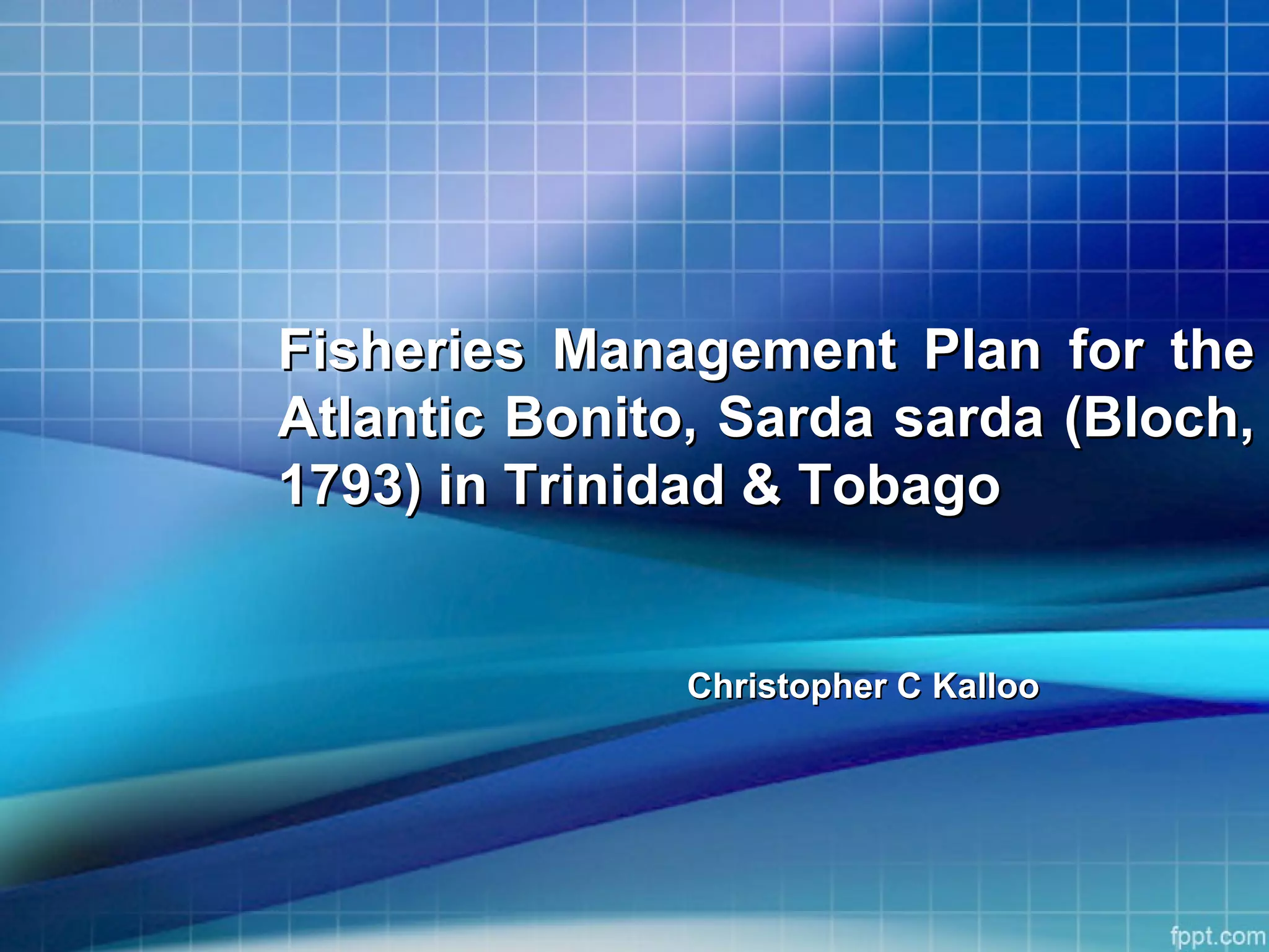 Fisheries Management Plan for the Atlantic Bonito, Sarda sarda (Bloch ...
