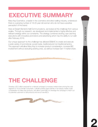 MaryKayPlansBookFinal | PDF