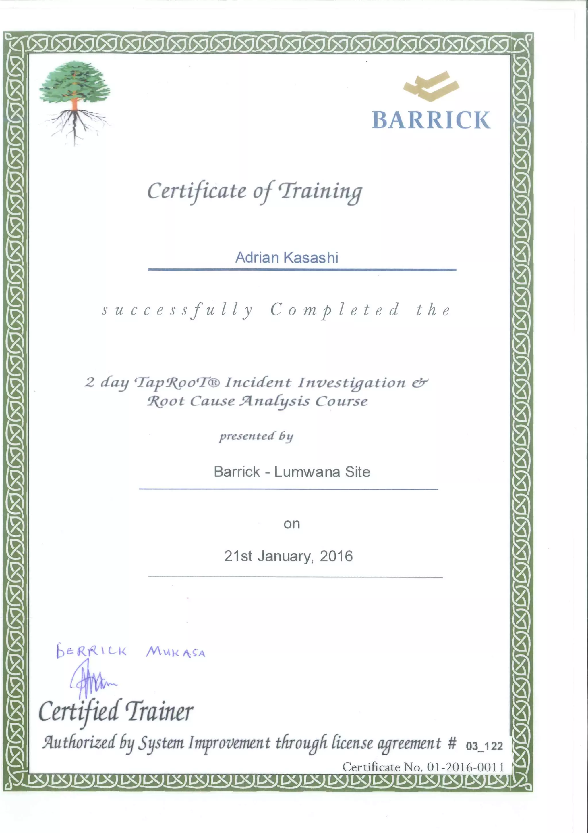 Certificate-Tap Root Investigation | PDF