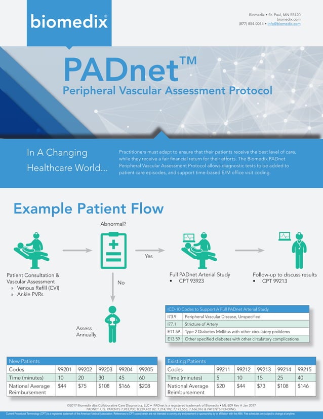 Peripheral Vascular Assessment Protocol | PDF | Diseases and Conditions ...
