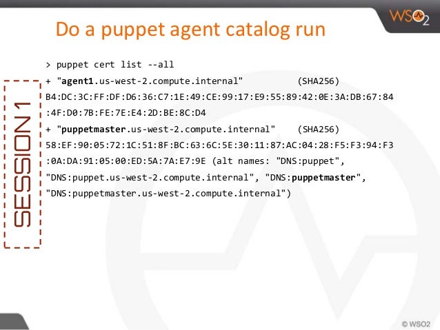 Puppet quick start guide