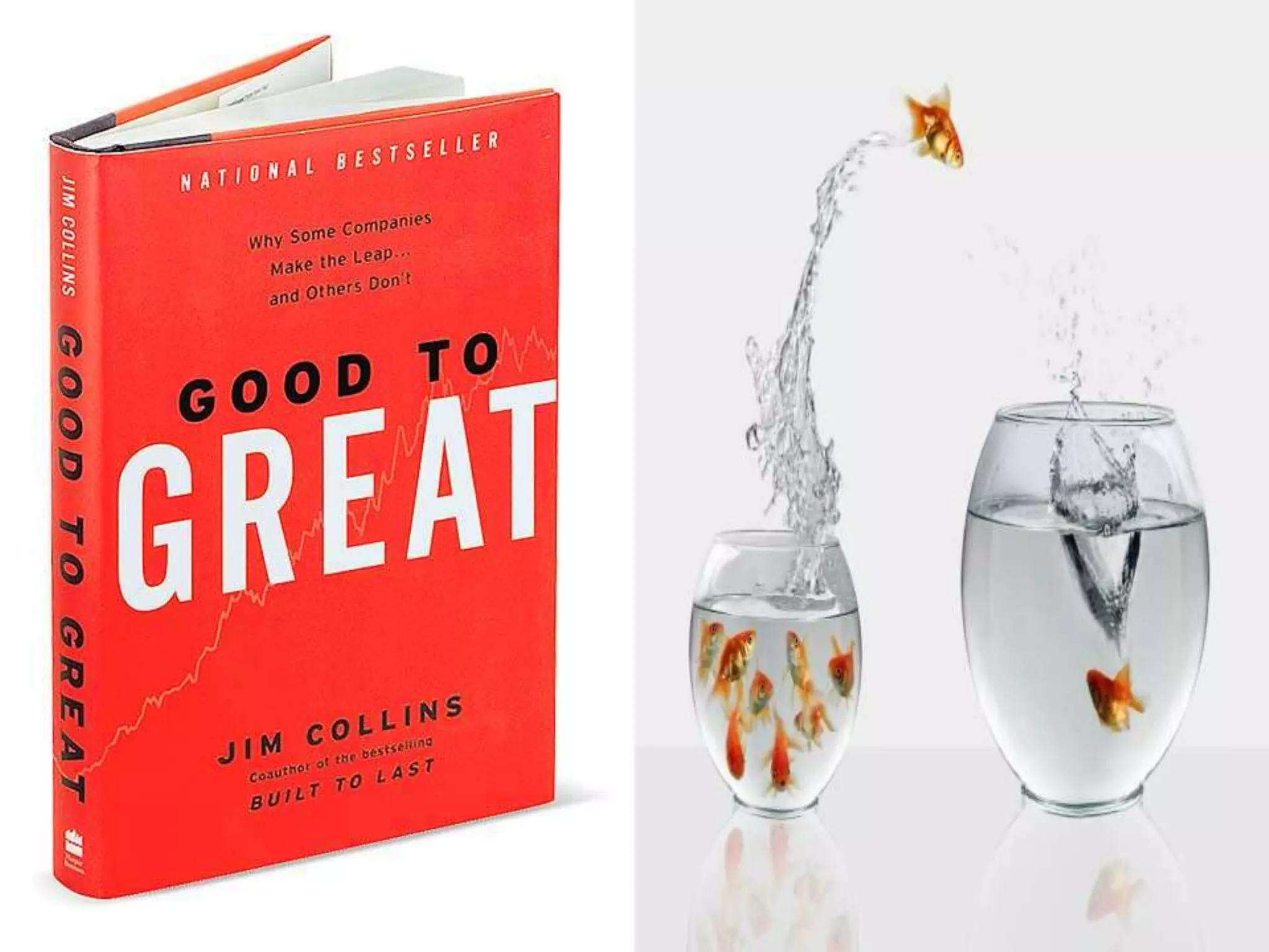 Good to great book review (GNVS IOM) | PPTX