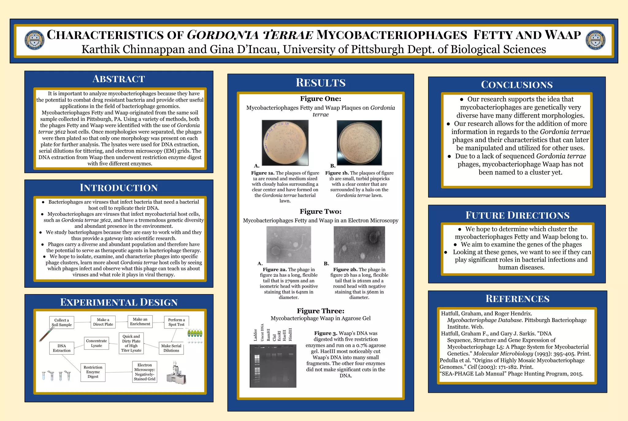 SEA-PHAGES Poster-3 | PDF