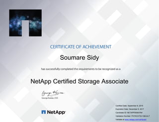 NetApp Certified Storage Associate certificate | PDF