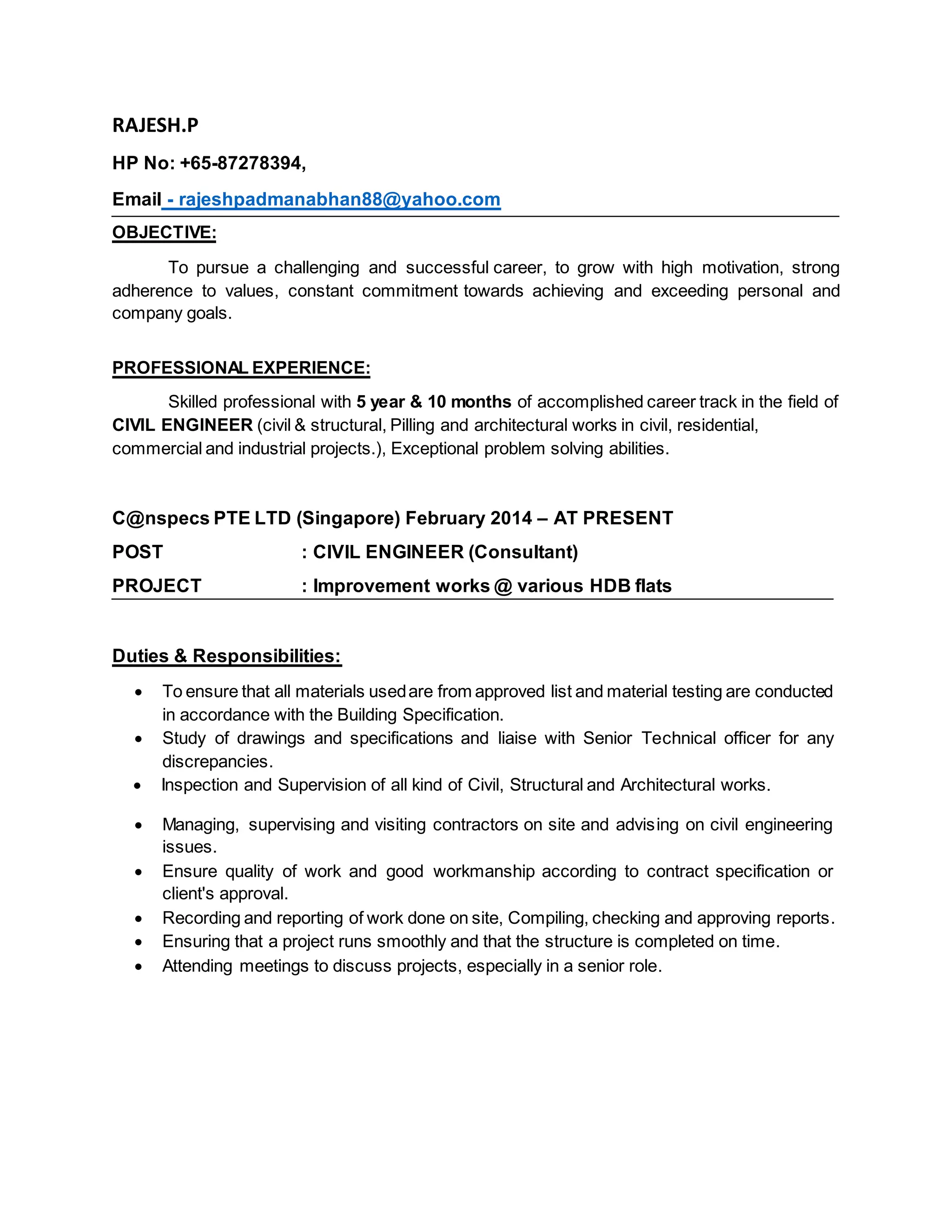 PROFESSIONAL EXPERIENCE | DOCX