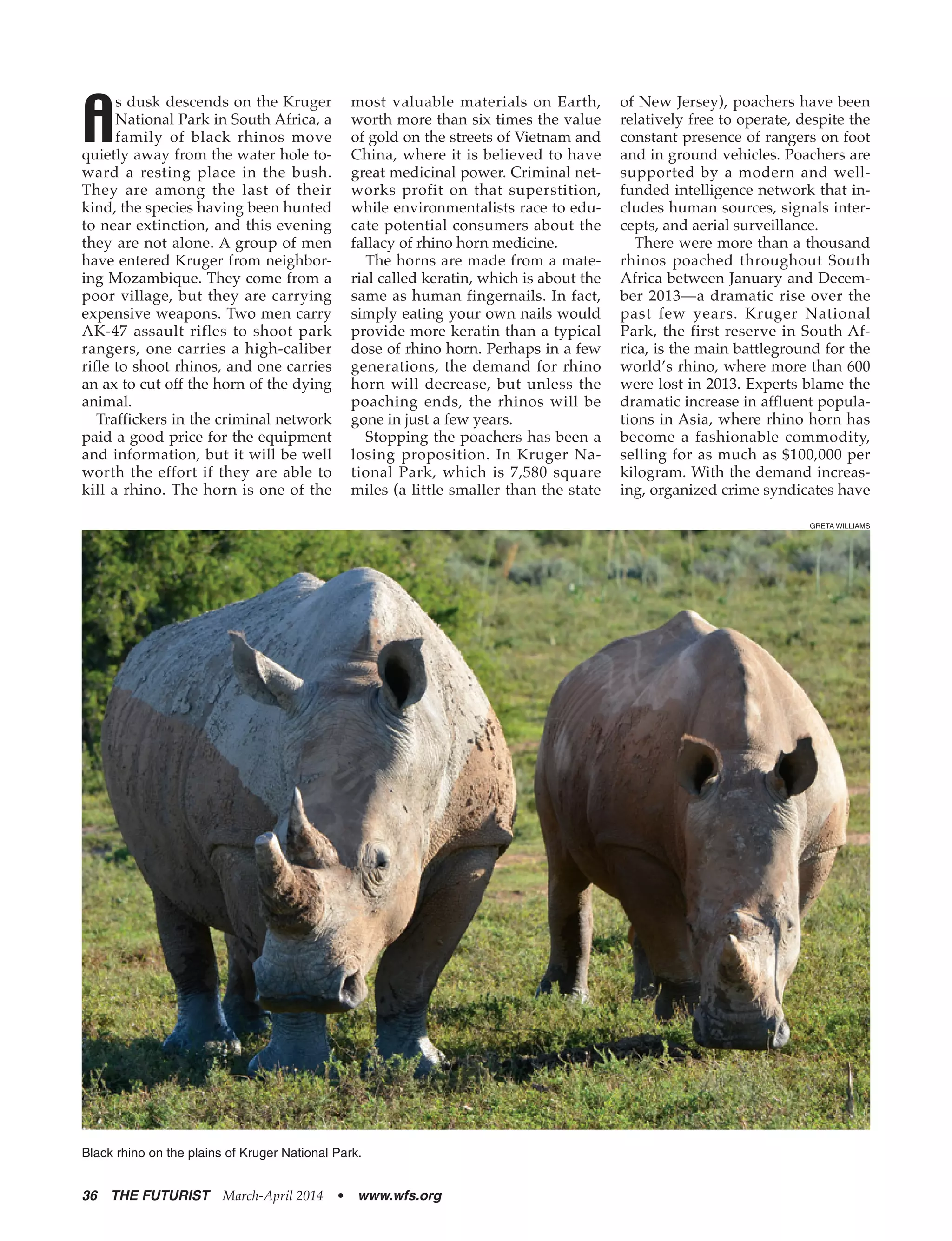 Futurist2014_Pandolfi | PDF