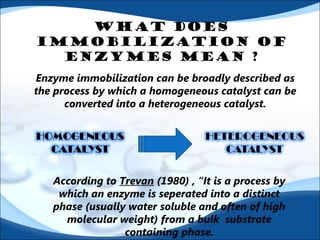 IMMOBILIZED ENZYME SYSTEMS | PPT