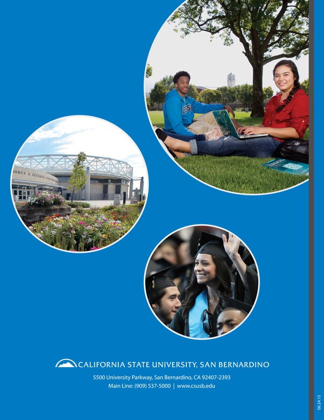 CSUSB Strategic Plan 2015-2020 | PDF