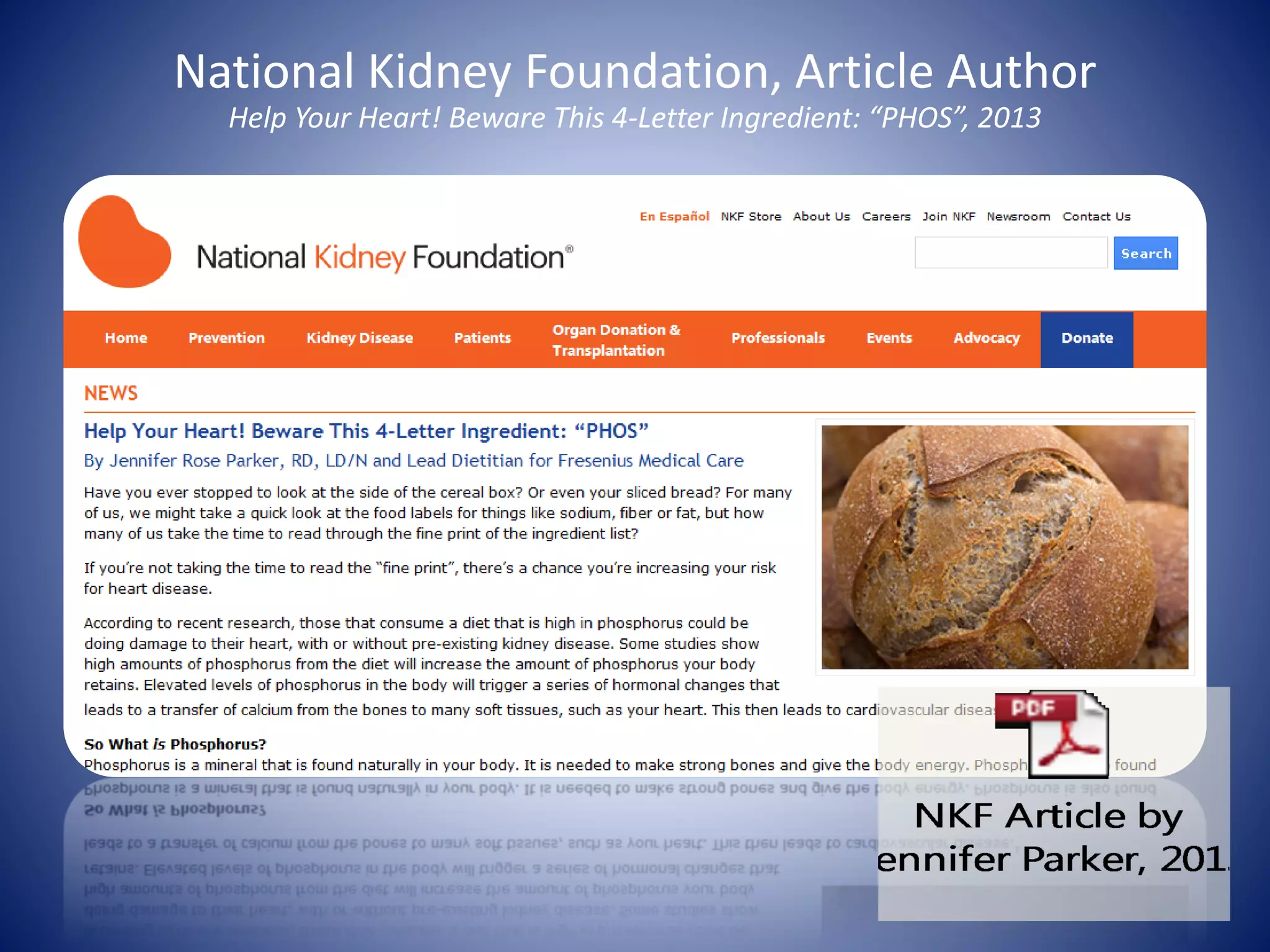 Portfolio, Jennifer Parker, RDN | PDF