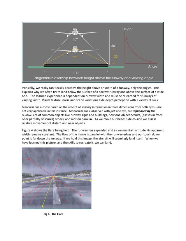 FlyThisSimVisualSystem | PDF