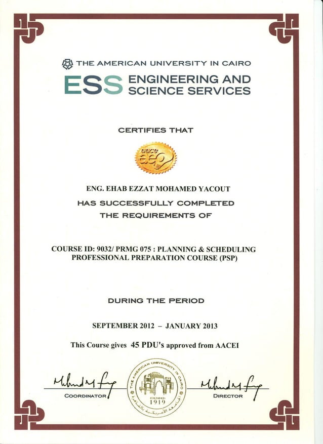 PSP Certificate | PDF