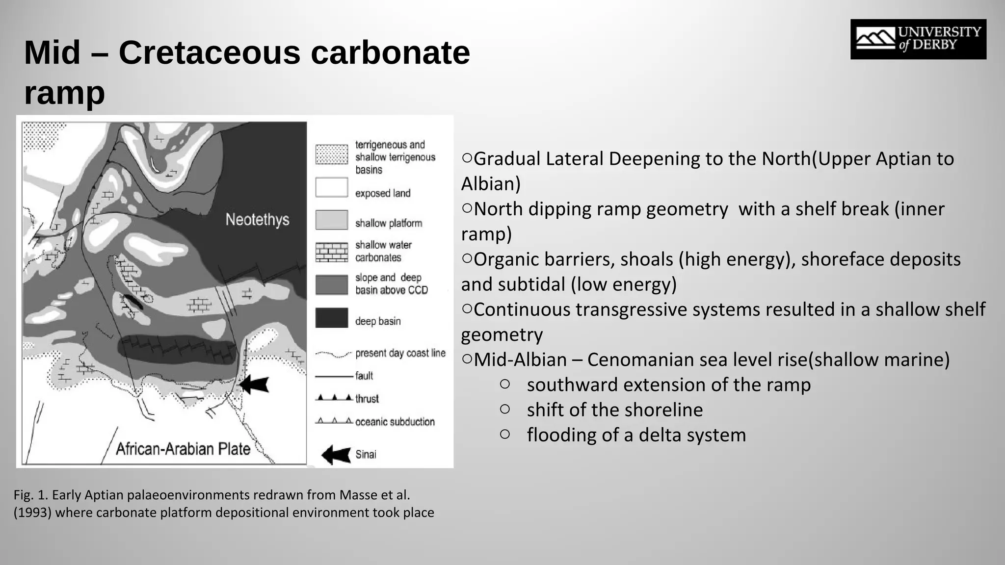 The Middle Cretaceous Carbonate Ramp_Konidari | PPT