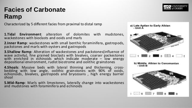 The Middle Cretaceous Carbonate Ramp_Konidari
