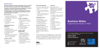 Supporting Businesses in Wales | PDF