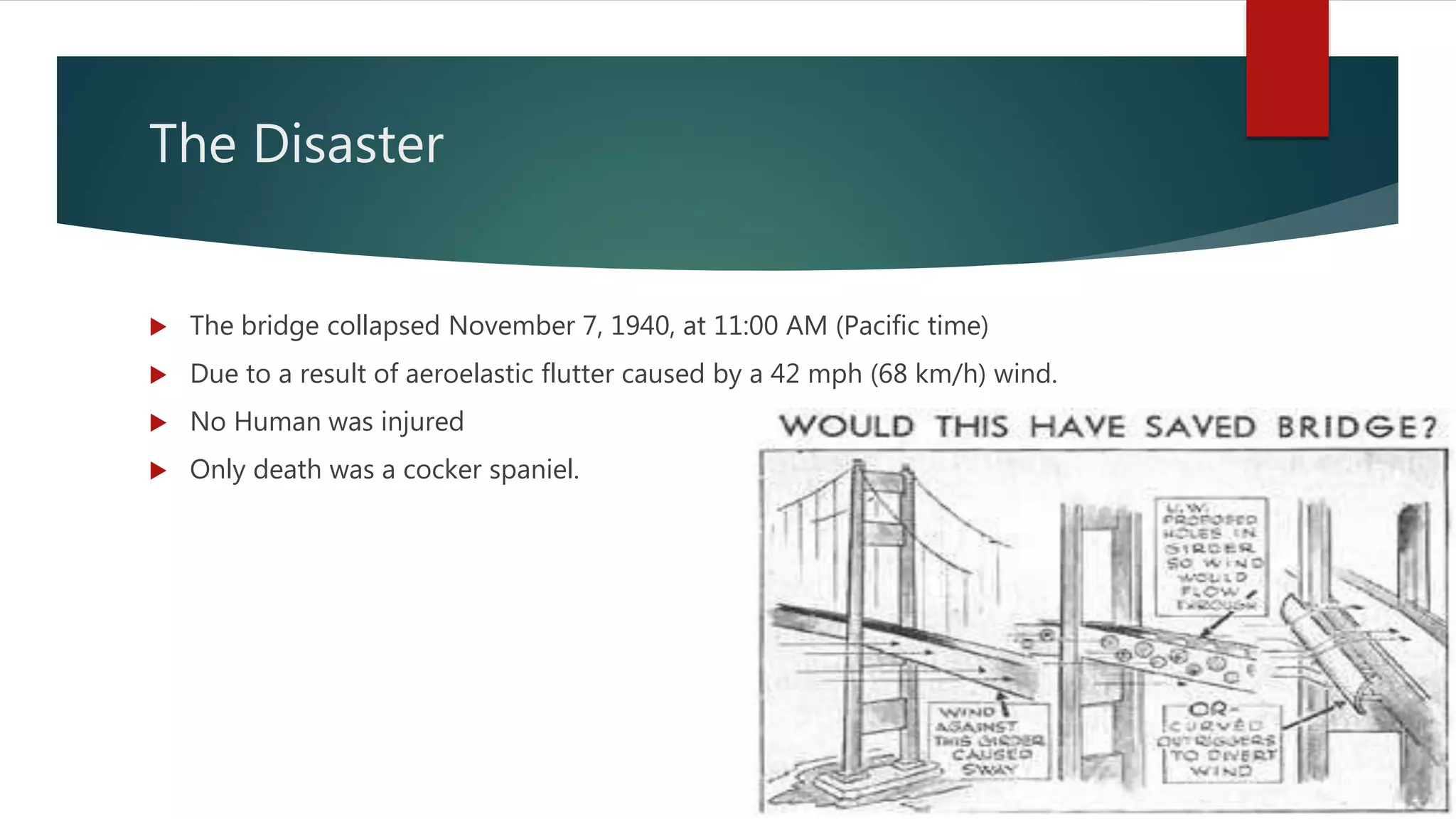 Tacoma Narrows Bridge Presentation | PPTX