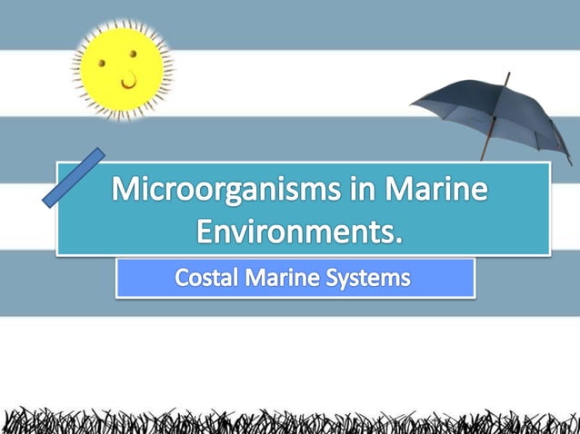 Microorganisms in Marine Environments | PPTX