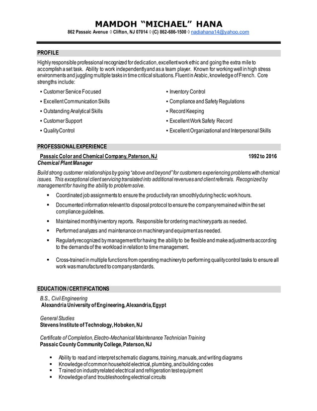 MAMDOH Hana resume | PDF