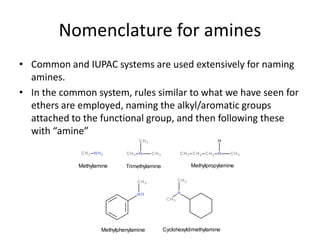 Write The Common Names For These Amines