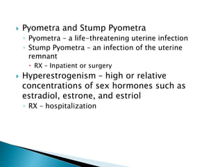 Ferret-Breeding-Powerpoint | PPTX