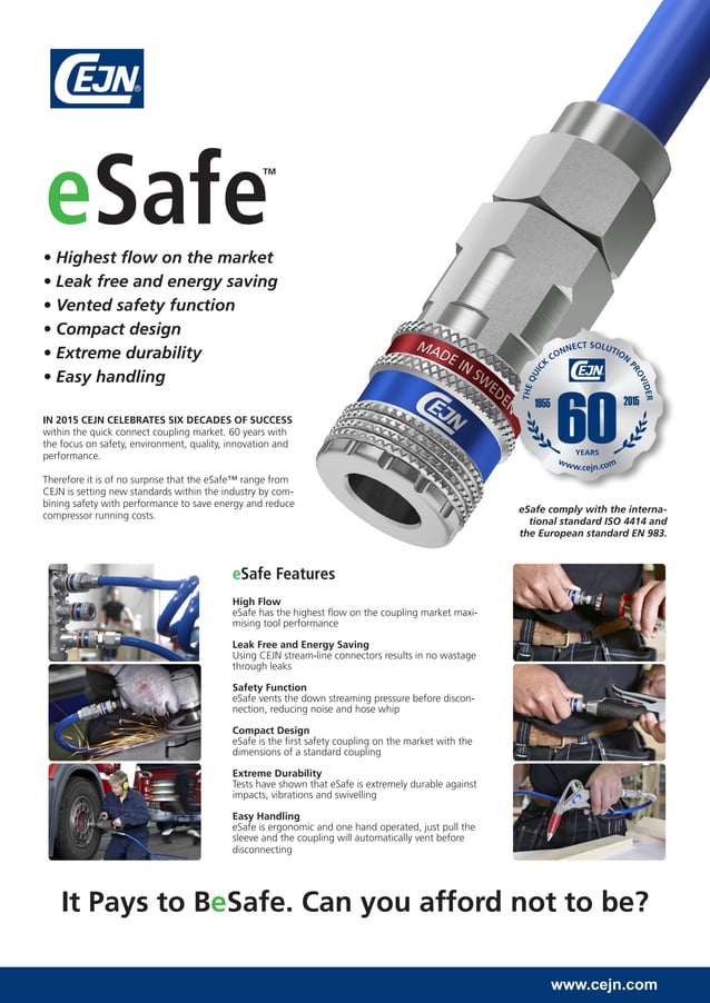 eSafe (2) | PDF