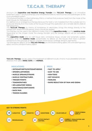 A128_Depliant A4_Vet_Therapy_03_2016_Eng_low | PDF