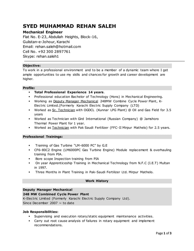 SYED MOHAMMAD REHAN SALEH CV | PDF