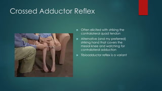 Forgotten Reflex Testing | PPTX