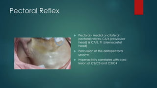 Forgotten Reflex Testing | PPT