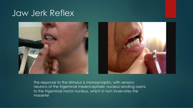 Forgotten Reflex Testing