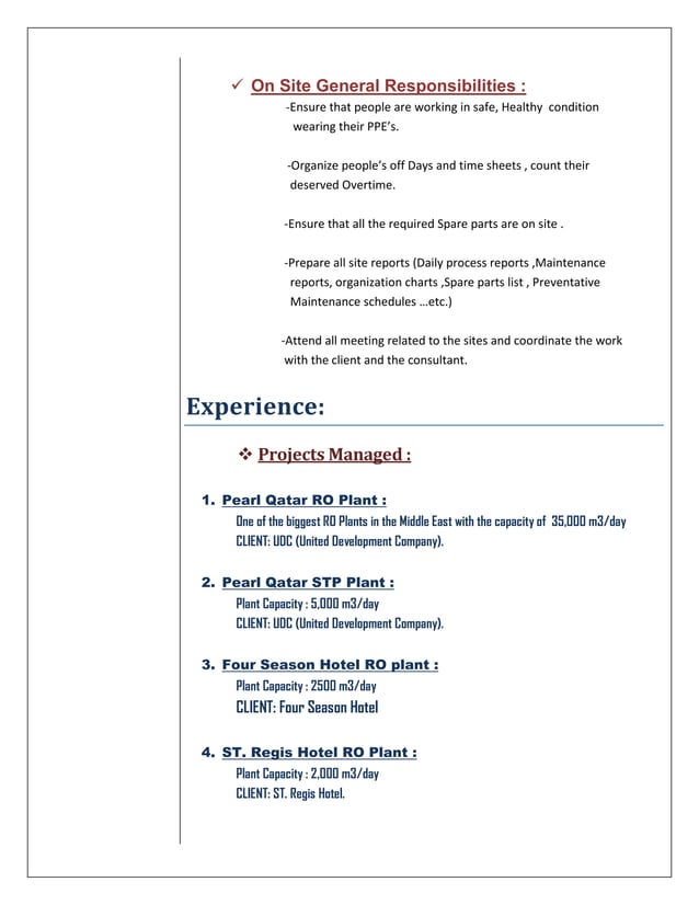 Mina Ezzat CV | PDF | Civil Engineering Industry | Industries