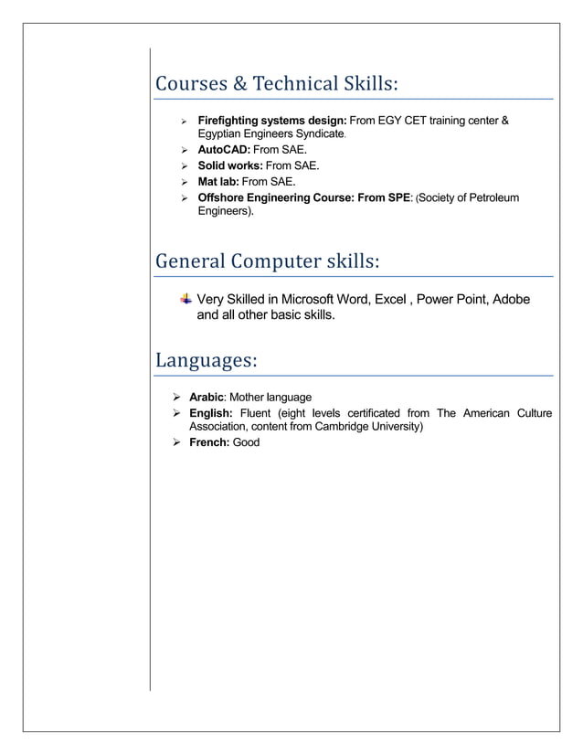 Mina Ezzat CV | PDF | Civil Engineering Industry | Industries