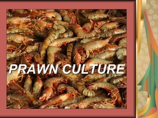 d9fdd94c79522850f25e40123dc5ccf0.pdf