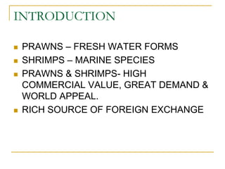 d9fdd94c79522850f25e40123dc5ccf0.pdf