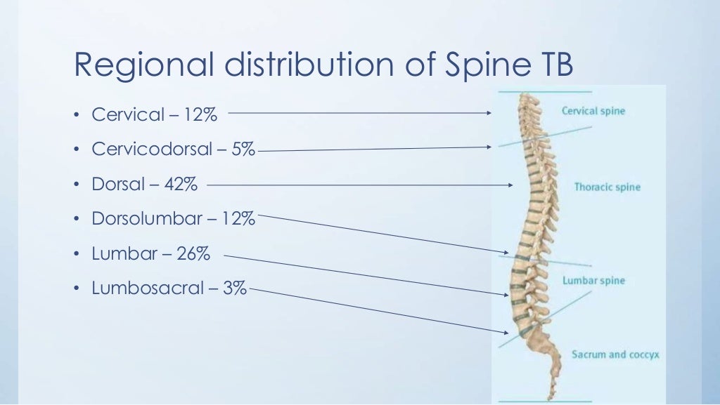 Tuberculosis of spine
