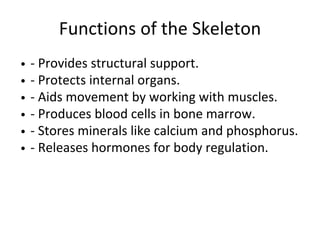 skeleton structure and functions.ASR homeopathic college | PDF