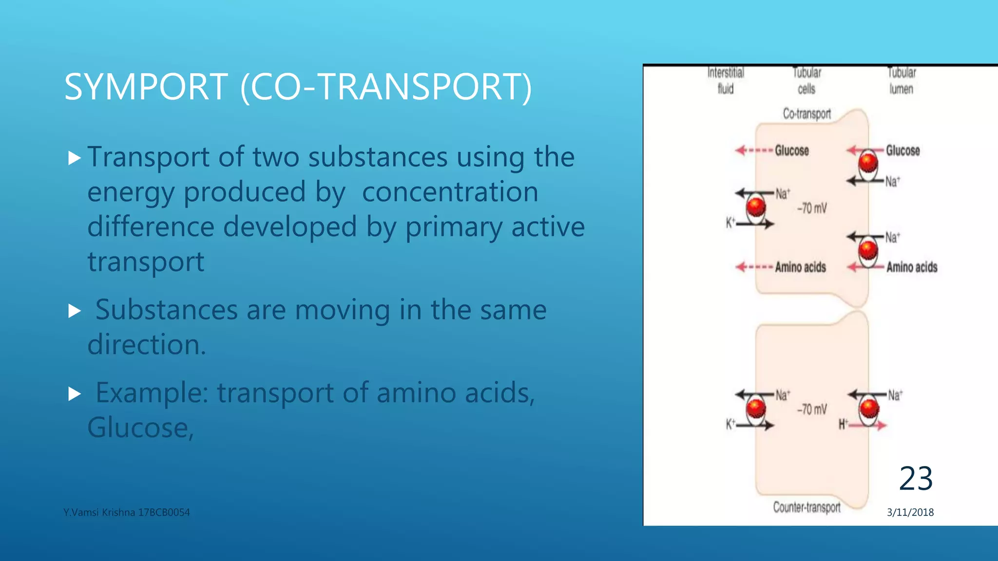 Transport across cell membrane | PPTX | Chemistry | Science
